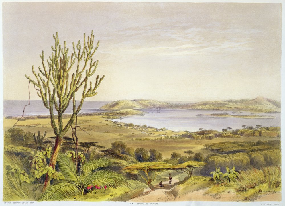 Durban, Port Natal, Tafel 28 aus 'The Kafirs Illustrated', graviert von ...