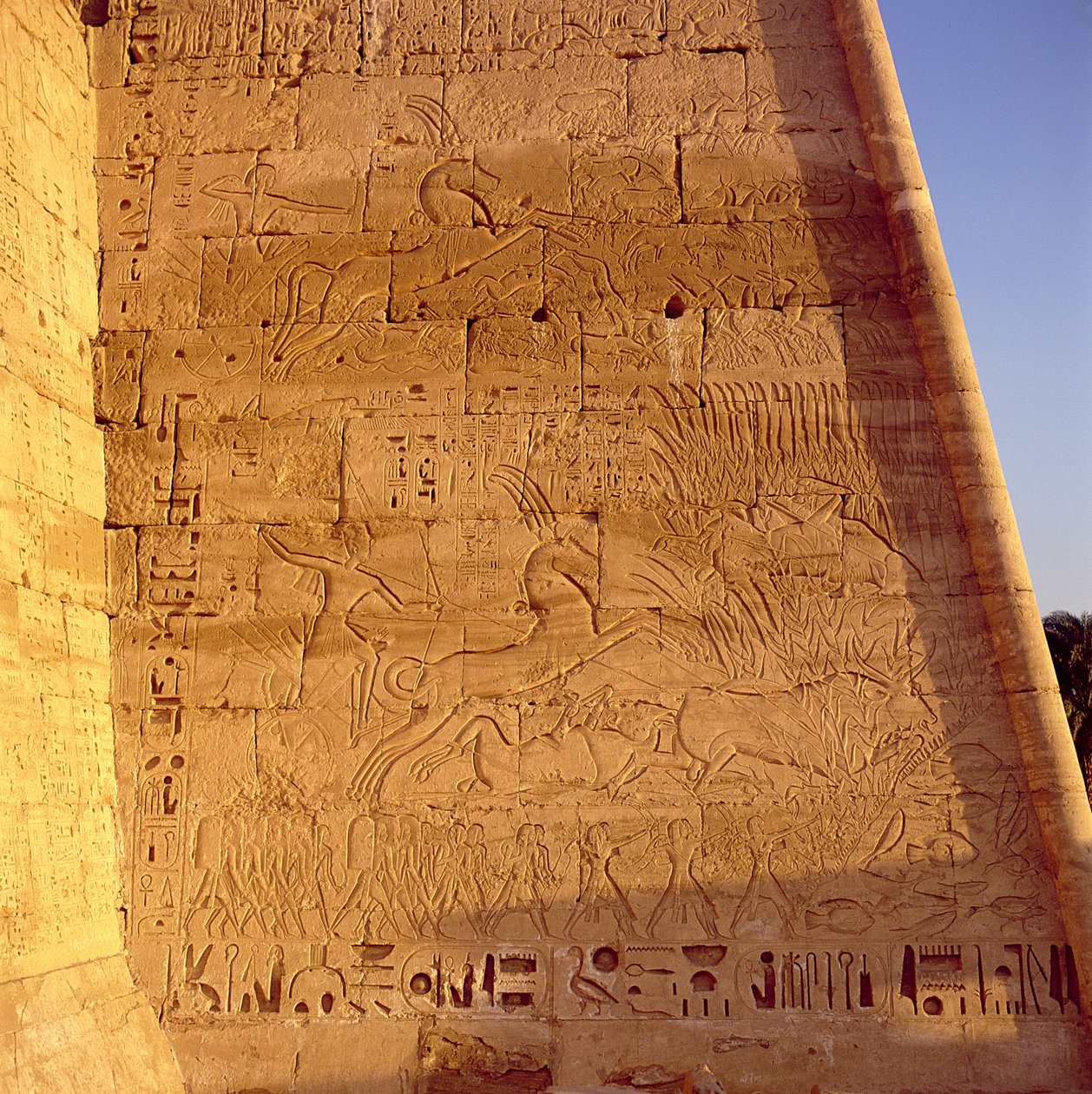 Ramses III. (ca. 1184-1153 v. Chr.) jagt wilde Stiere vom ersten Pylon ...