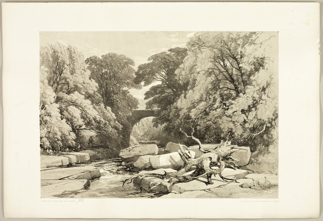 Esche und Erle an der Greta, aus Der Park und der Wald