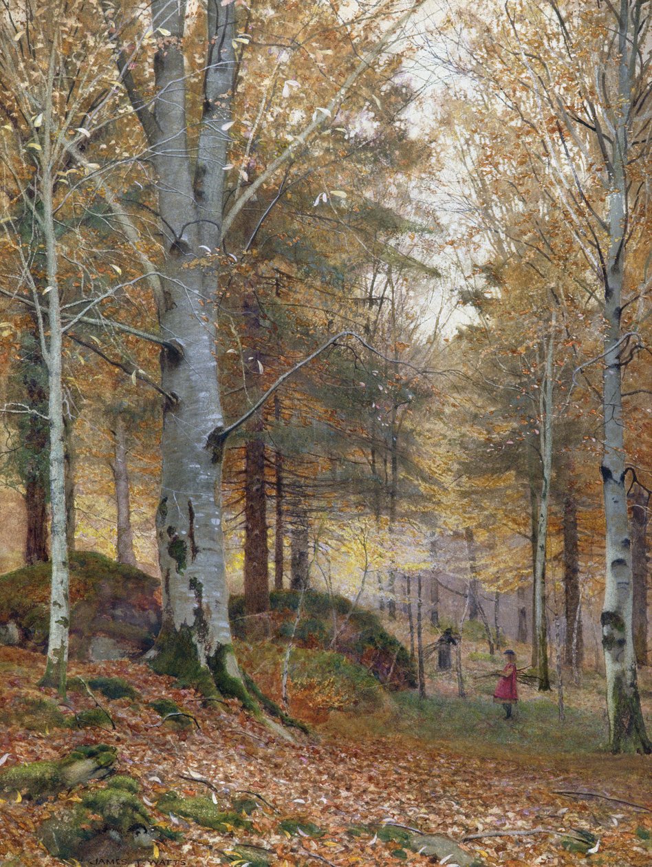 James Wald