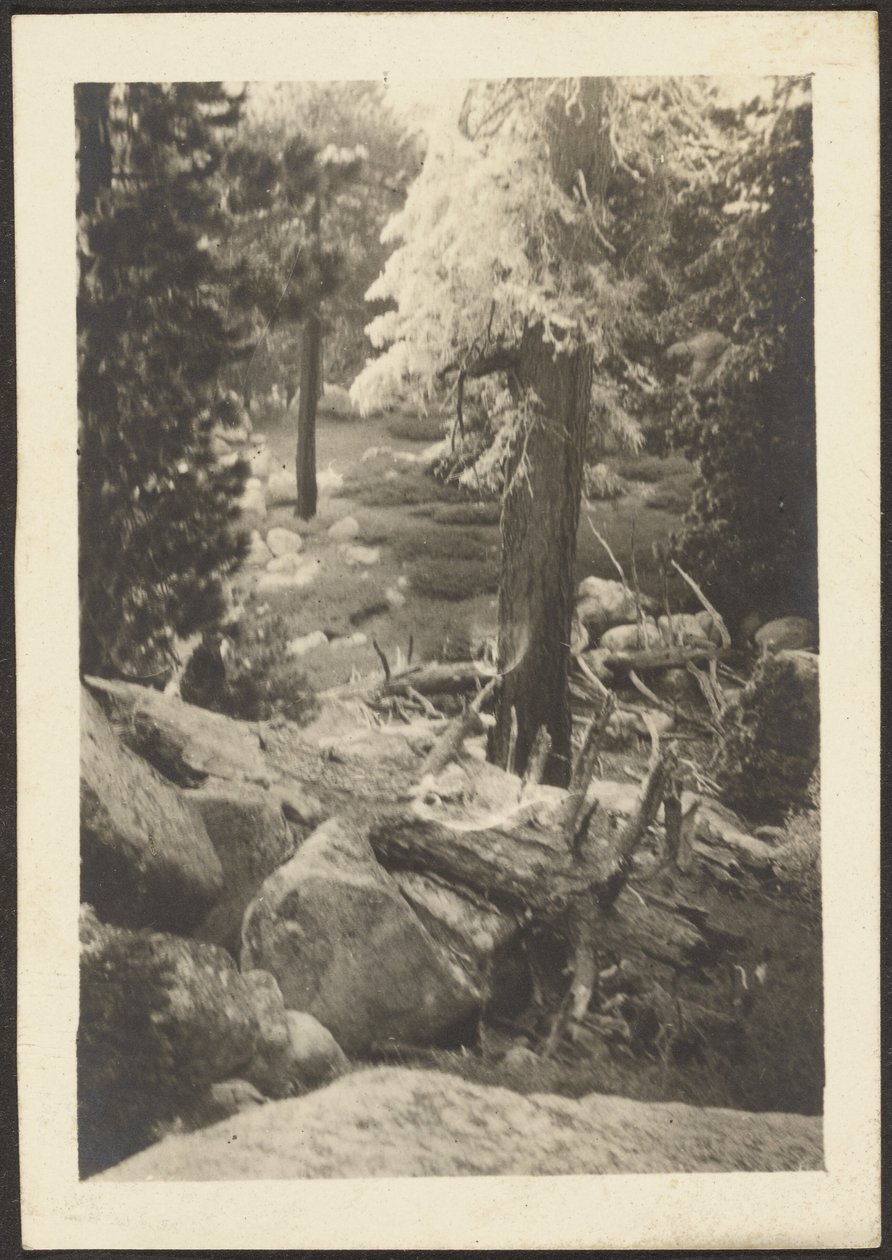 [Landschaft] von Louis Fleckenstein: Kunstdruck kaufen