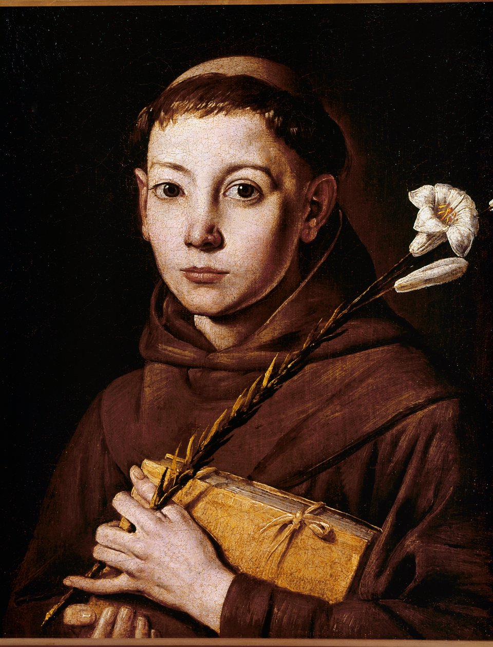 Heilige Antonius Von Padua